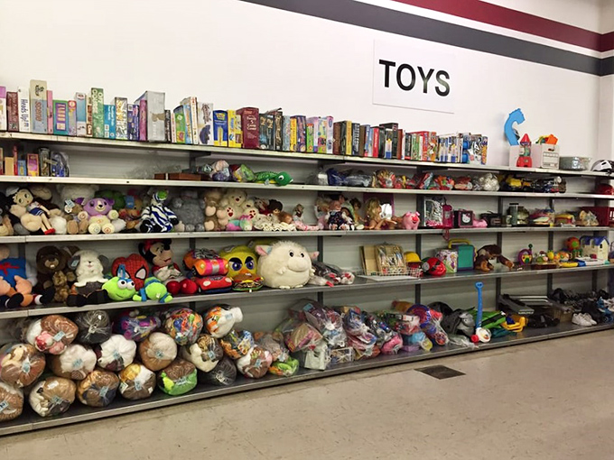 Stuffed animal adoption center where plush creatures patiently wait for their forever homes, no feeding or walking required.