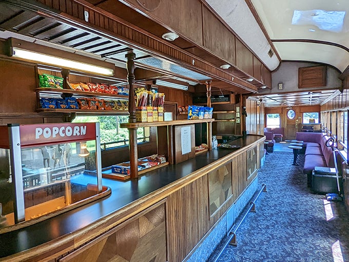 All aboard the snack express &ndash; because scenic journeys are even better with popcorn and good company onboard.