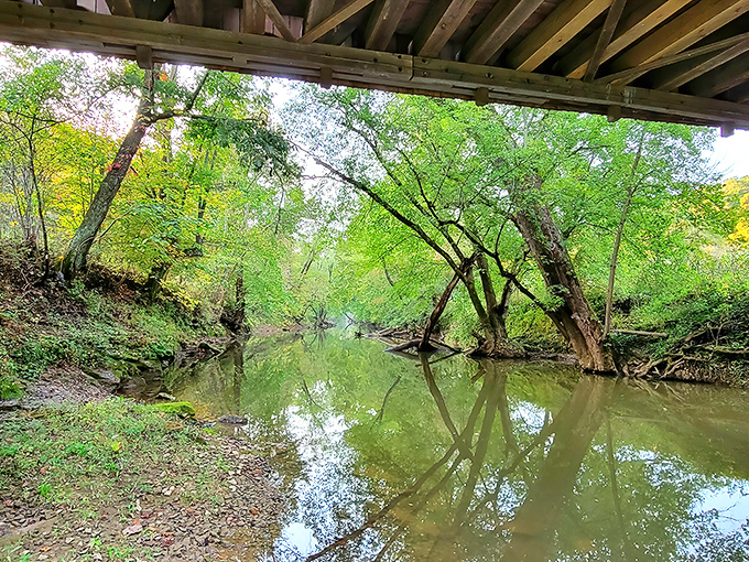 The view from below reveals the bridge's relationship with the landscape&mdash;not an interruption of nature, but a conversation with it.