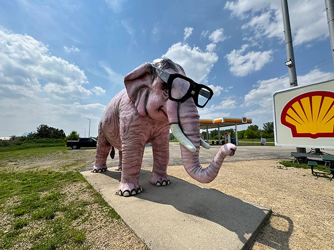Standing tall against the Wisconsin sky, those iconic glasses have become as much a landmark as the elephant itself.