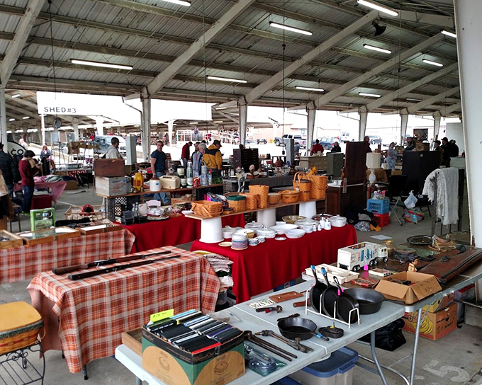 The beautiful chaos of flea market life, where organization meets delightful disorder in perfect harmony.