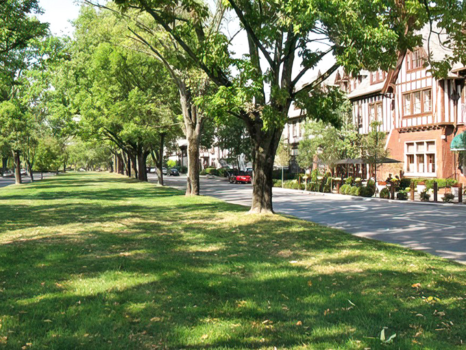 Tree-lined boulevards create natural galleries of shade and light, where every season paints Mariemont in a different palette of charm.