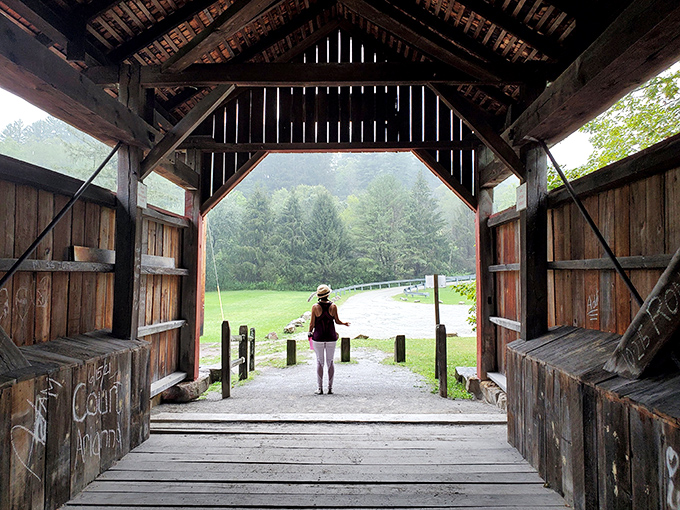 The view from inside frames the outside world like a living painting, reminding us that the best windows aren't in museums but in unexpected places.