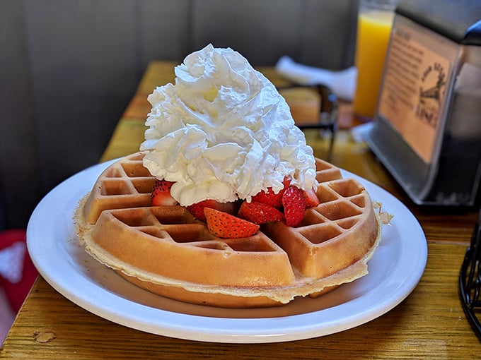 Breakfast rebellion at its finest &ndash; a waffle that refuses to be confined to morning hours, crowned with a cloud of whipped cream. 