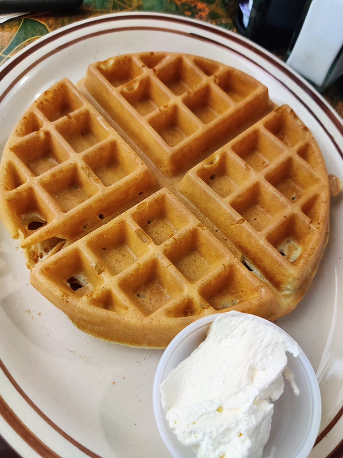 The golden waffle grid: nature's perfect design for holding pools of maple syrup, with a snowcap of whipped cream for good measure.