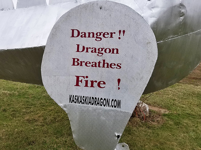 Fair warning: this dragon takes fire-breathing seriously, making backyard barbecues look like birthday candle lighting by comparison.