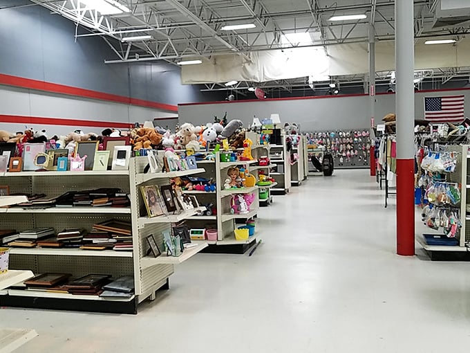 Stuffed animals and picture frames stand at attention, waiting for their second chance at making a house feel like home.