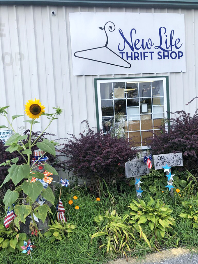 Summer blooms frame the entrance, proving even thrift shops understand curb appeal matters when you're selling someone else's treasures.