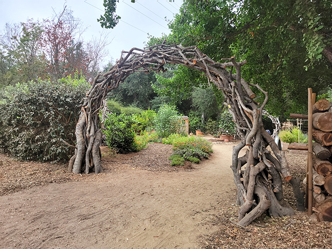 This rustic archway crafted from twisted branches proves that Mother Nature was into organic architecture long before it became trendy in design magazines.