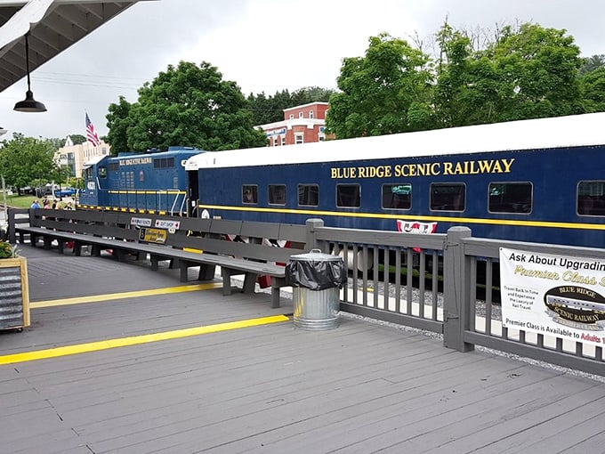 The navy-blue carriages wait patiently at the station, like elegant party guests lined up for a grand entrance into the mountains.