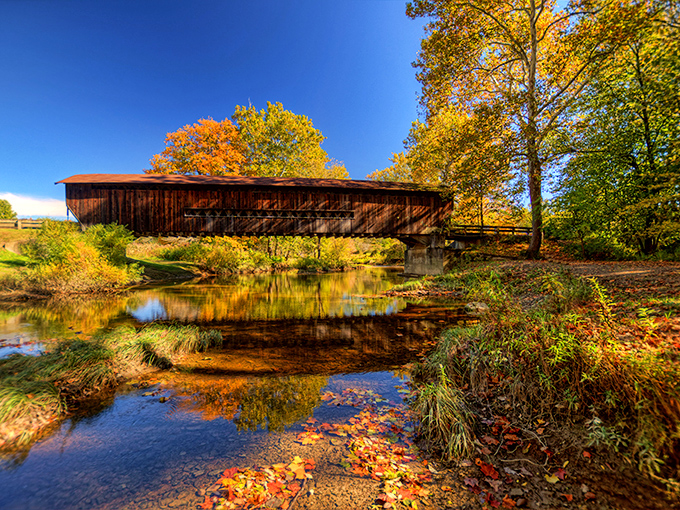 Autumn transforms this bridge into a postcard that would make Hallmark movies jealous of reality.