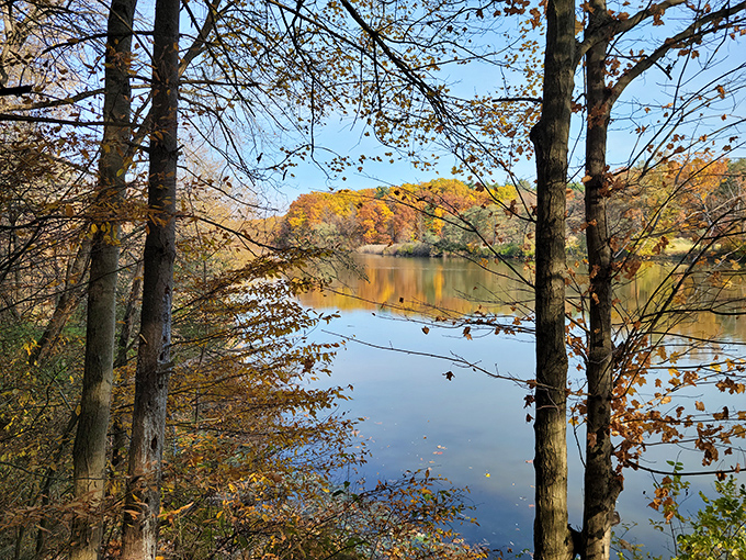 Nature's autumn fashion show. The lake doubles as a mirror, giving these trees twice the opportunity to show off their fall colors.
