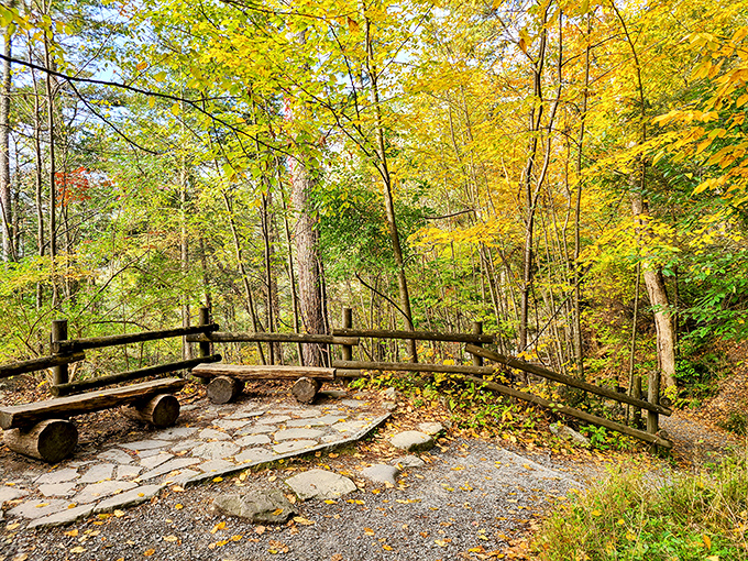 Nature's waiting room comes with log seating and a view that beats anything you'll find in a doctor's office. Fall foliage provides the perfect backdrop.