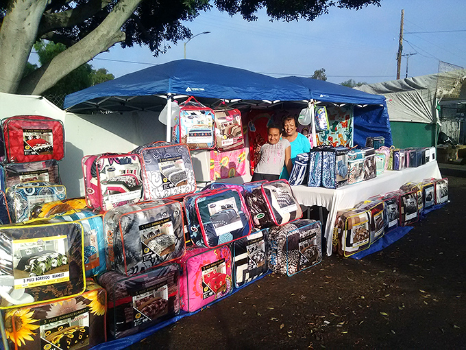 Fabric fantasies unfold in vibrant rows. Grandma would call this "good material"—the kind worth driving across county lines to find.