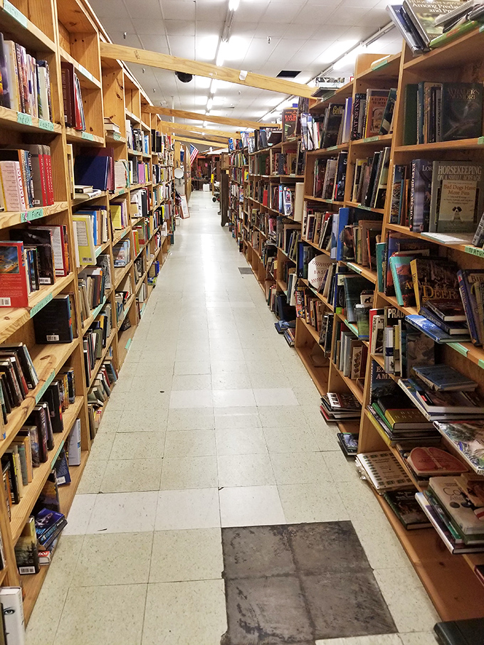 The book section: where literary treasures stand shoulder to shoulder, creating corridors of knowledge that smell deliciously of well-loved paper and binding glue. 