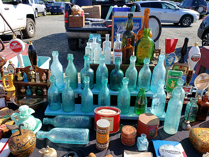Antique bottles catch sunlight like liquid history, each one a time capsule from America's more colorful drinking and medicine days.
