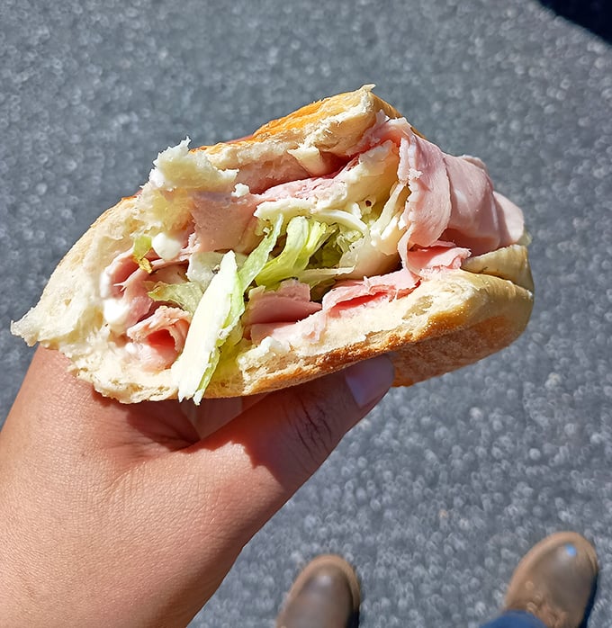 A simple turkey sandwich and chips on a floral plate &ndash; proof that sometimes the most straightforward lunch is also the most satisfying.