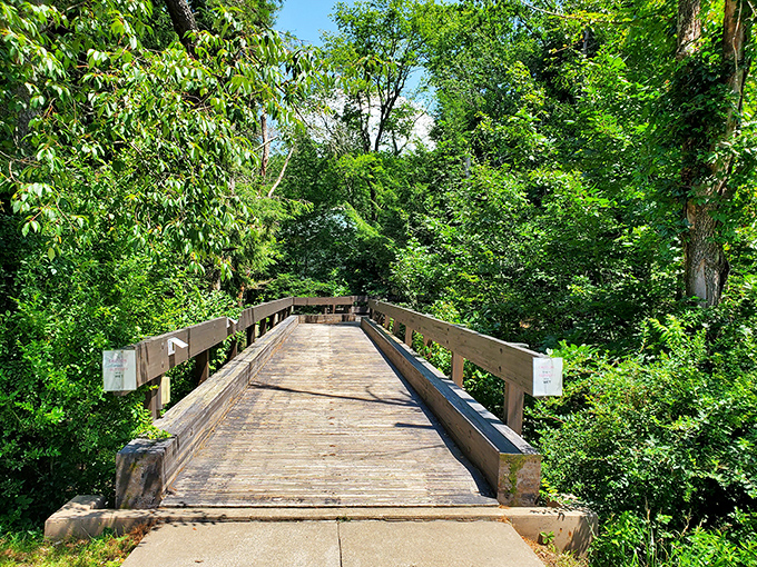 Bridges in parks are like portals to adventure. This wooden walkway beckons with the silent promise: "Something wonderful waits on the other side."
