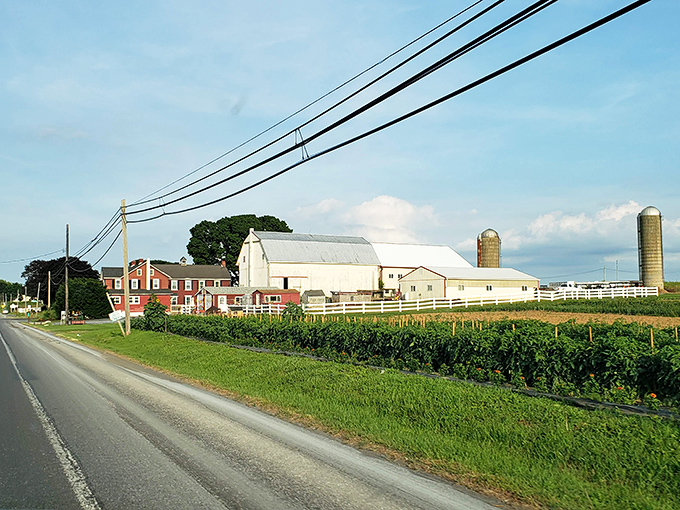 Classic Pennsylvania architecture lines the streets like a Norman Rockwell painting that serves incredible food.
