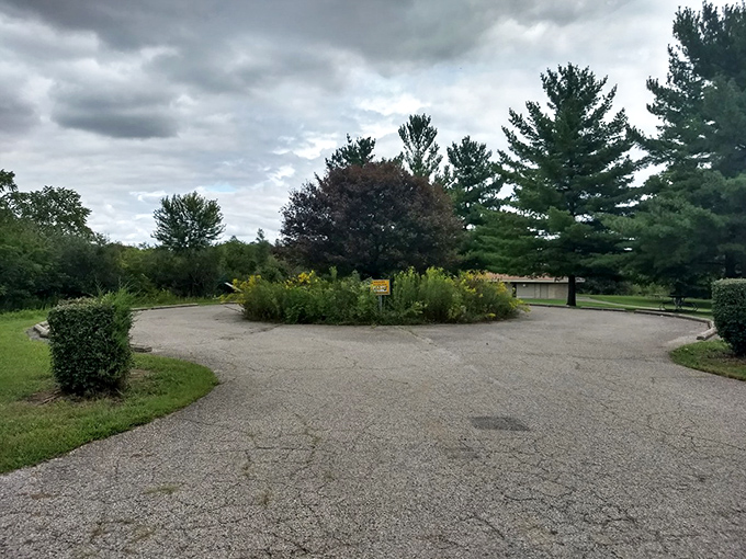 Nature's roundabout, where towering pines stand guard. This peaceful turnaround offers a moment to pause before continuing your adventure.