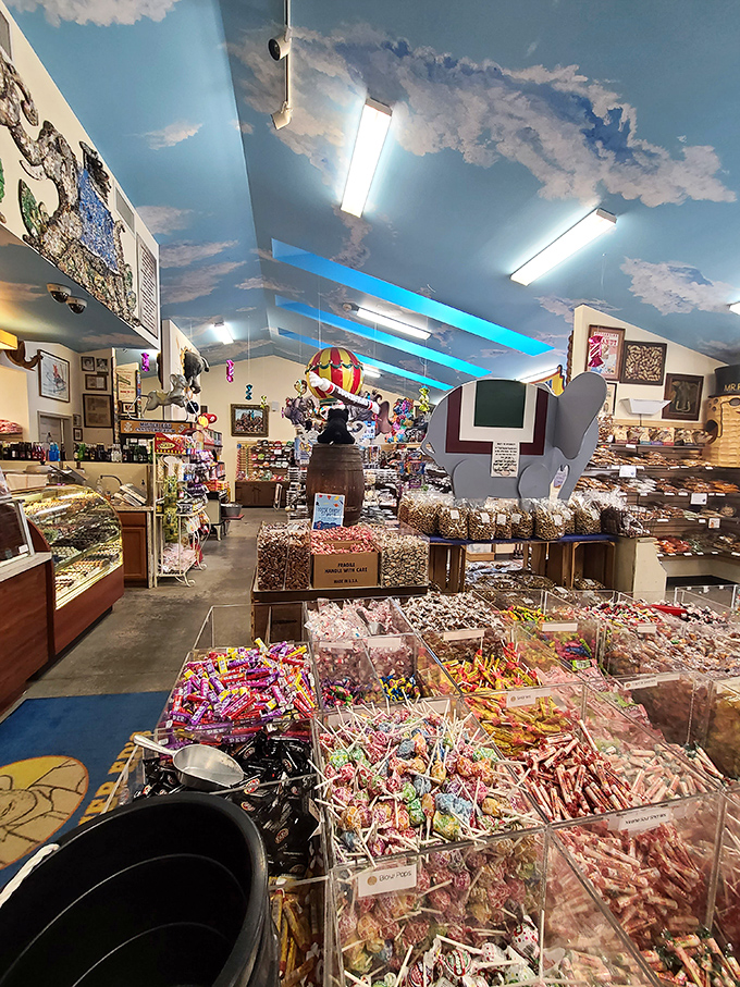 The candy counter beckons like a sugary siren song, promising treats that justify every calorie.