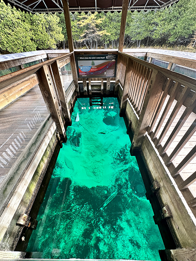 Talk about a window to another world! The raft's viewing area reveals 40 feet of crystalline depths and underwater mysteries