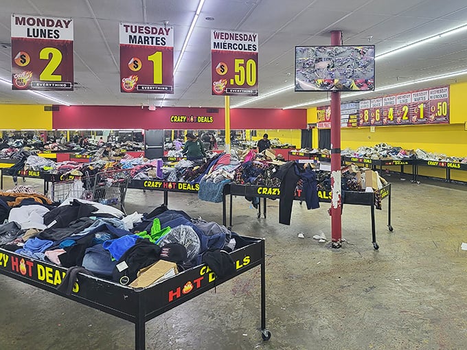 The later in the week you shop, the more the bins transform. Monday's organized chaos becomes Wednesday's "dive in and see what you find" adventure. 