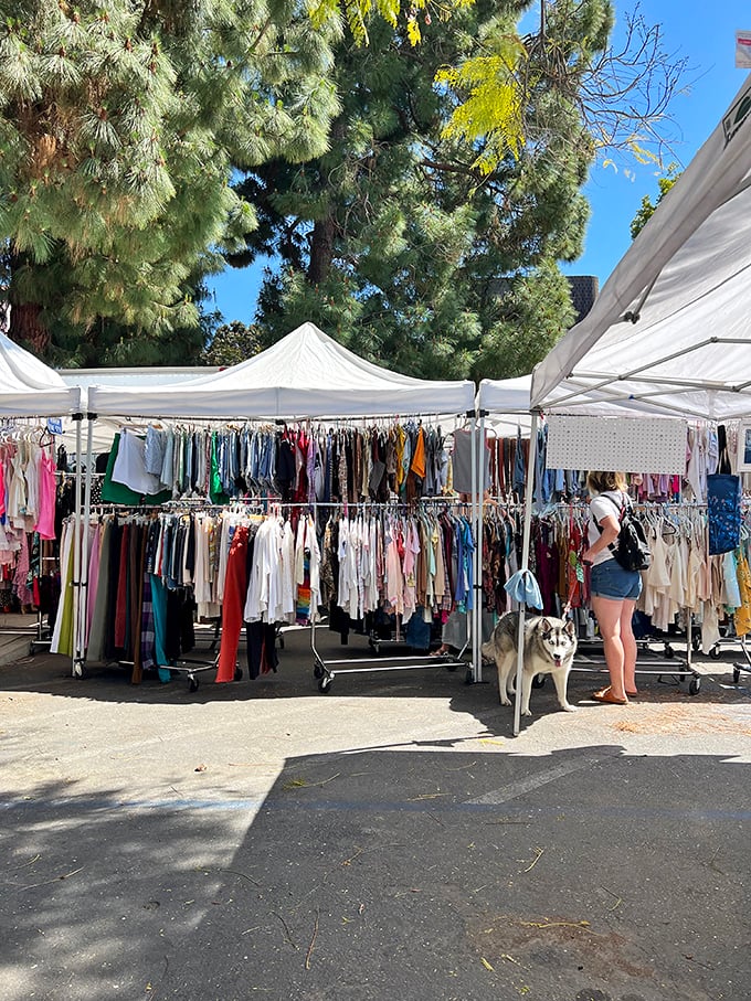 Fashion archaeology at its finest. Racks of carefully curated clothing where even four-legged friends appreciate the vintage hunting grounds.