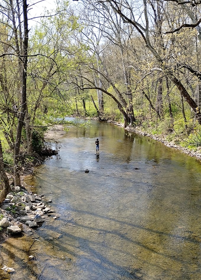 Crystal clear water moving at the perfect pace for skipping stones and forgetting about Monday morning meetings.