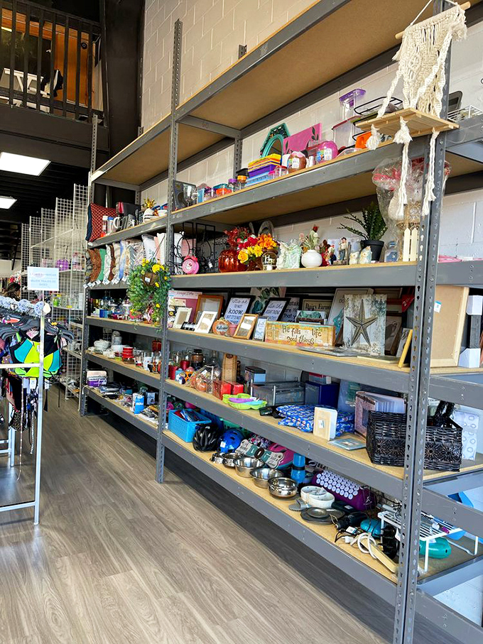 From macram&eacute; to motivational signs, the home d&eacute;cor section offers everything you need to make your house look like Pinterest exploded inside it.