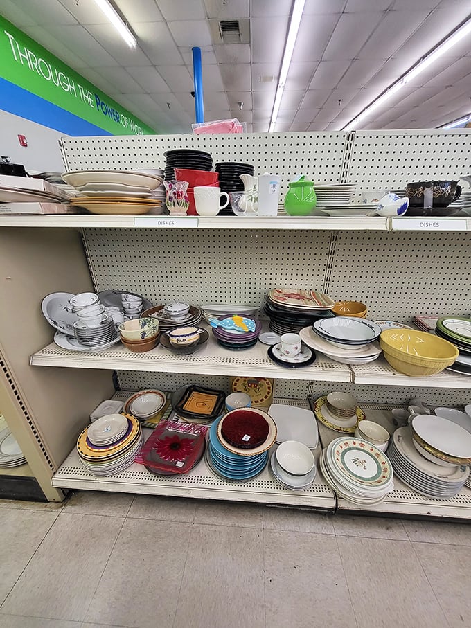 Plates with more past lives than a cat tell tales of holiday dinners and Tuesday night casseroles, all waiting for their next tablescaping adventure.