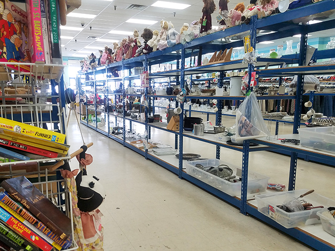 Every shelf tells a tale of American consumer history&mdash;toys from different decades living harmoniously with household items your grandmother would recognize.