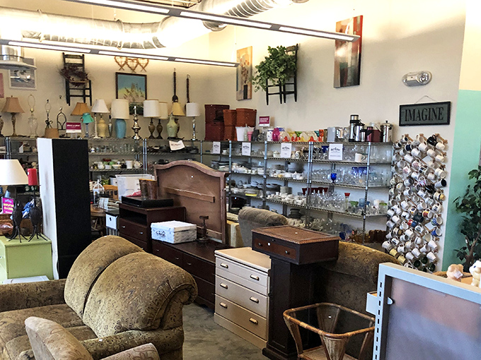 Mid-century meets modern in the furniture section, where yesterday's living room staples find tomorrow's appreciative owners. That lamp might just be the conversation piece you never knew you needed.