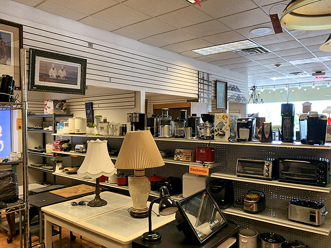 Coffee makers and toaster ovens and blenders, oh my! Kitchen appliances get their second act, ready to brew, toast, and blend in your home.