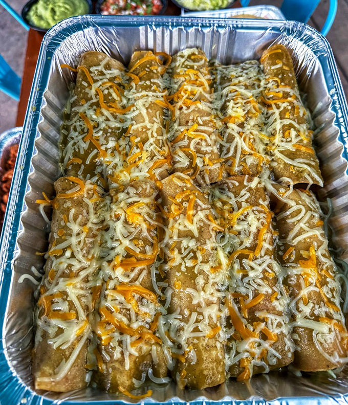 Enchiladas lined up like soldiers in a delicious army. That cheese blanket isn't just for show&mdash;it's working overtime in the flavor department.