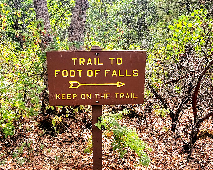 Trail signs: nature's way of saying "This way to the good stuff." Follow the arrow for the kind of view your social media followers will actually want to see.