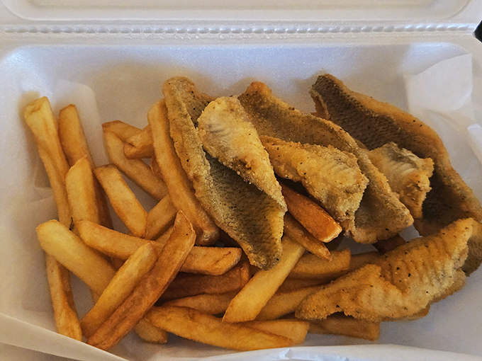 Even lunch brings its A-game with perfectly golden fish fillets and fries that somehow manage to be both crispy and tender in the same bite.