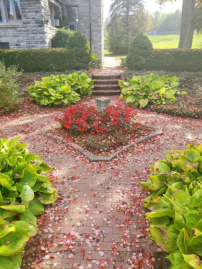 Fall's crimson confetti creates a natural red carpet through meticulously maintained gardens that would make any landscape architect swoon.