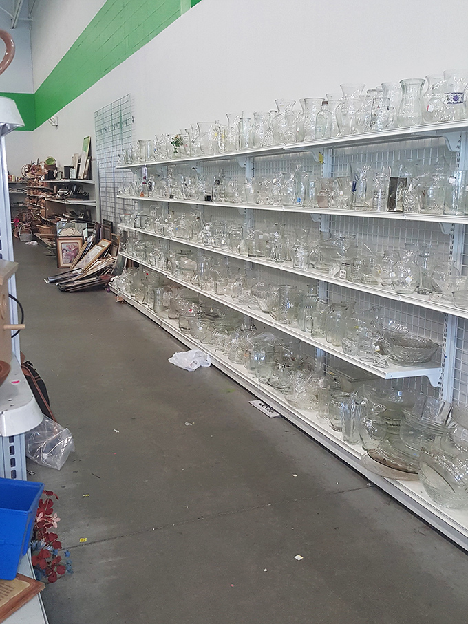 Crystal kingdom or glass menagerie? Delicate treasures line these shelves like a museum of domestic history, each piece with stories to tell.