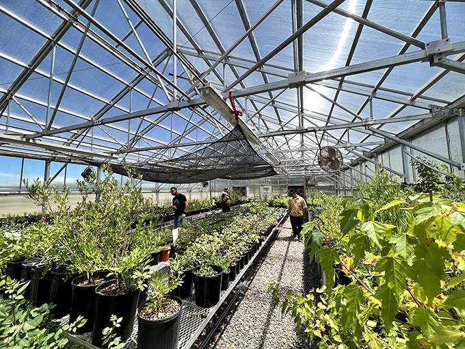 Behind-the-scenes magic happens in these greenhouses where mountain gardening dreams become blooming reality year-round. 
