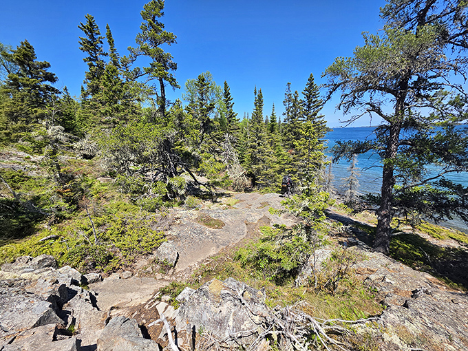 Nature's cathedral where sunlight filters through pine needles onto ancient rock. These trails have felt the footsteps of adventurers and moose hooves alike for centuries.