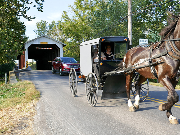 The past and present share the road at Eshleman's Mill Bridge. An Amish buggy approaches while modern vehicles wait their turn.