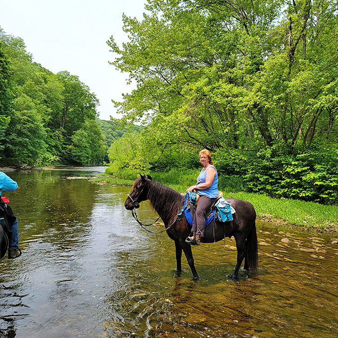 Horseback riding through Beaver Creek's waters—where "horsepower" meets refreshing splashes and the pace of life slows beautifully.