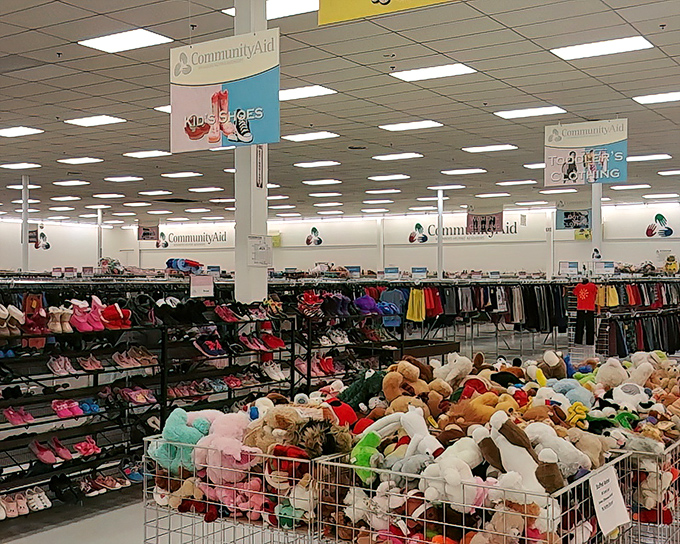 The children's section is a rainbow explosion of possibilities, where teddy bears find new homes and parents find budget relief.