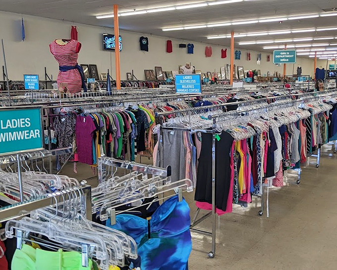 Ladies' swimwear displayed with the same care as a boutique, but at prices that won't send you diving for cover. Florida essentials at non-Florida prices!