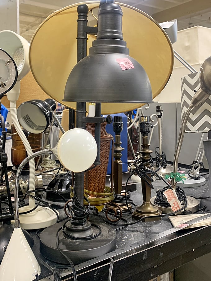 Lamp department looking like a casting call for "I Dream of Jeannie"&mdash;each one with its own personality and the potential to brighten your reading nook.