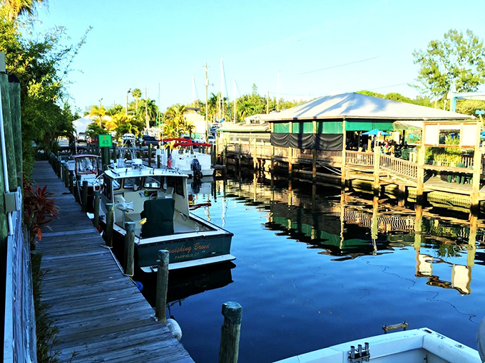 Fishing vessels line the weathered docks, their reflections dancing in still waters. These aren't pleasure boats&mdash;they're the workhorses that keep Cortez's seafood tradition alive.