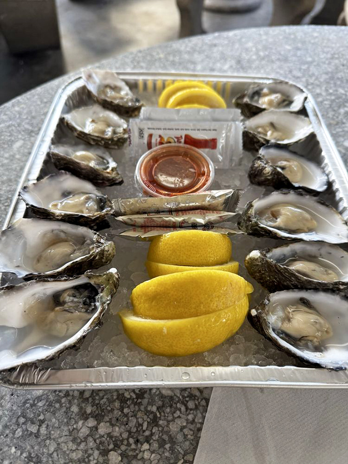 These oysters aren't just seafood; they're little cups of ocean perfection, each one a briny, mineral-rich story of the Pacific.