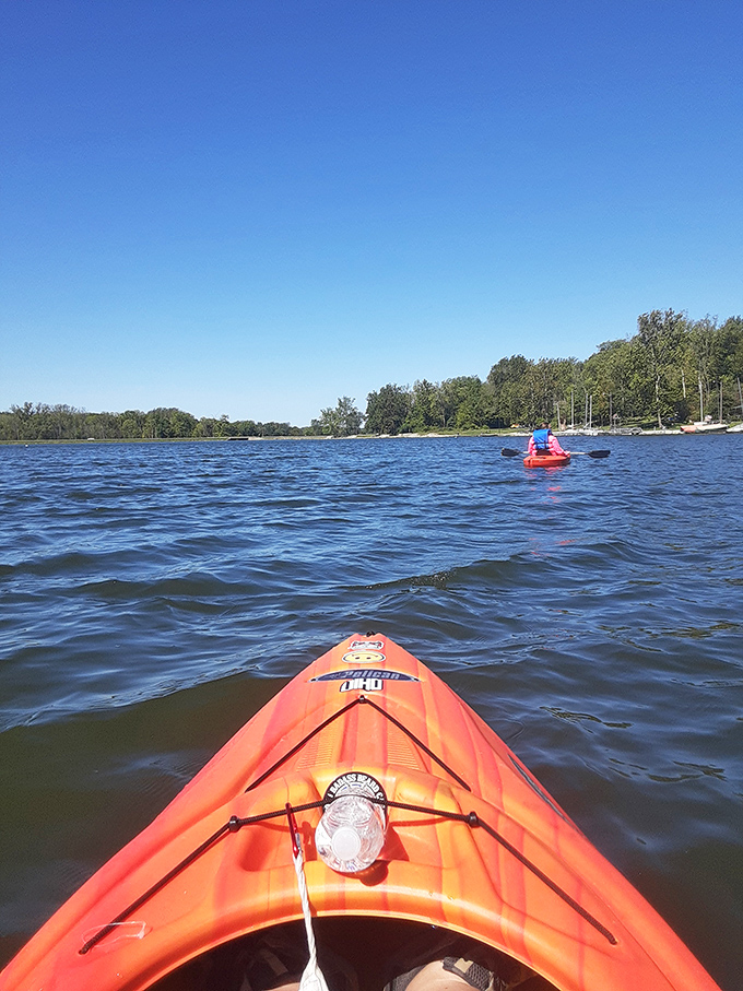 The view from a kayak: where office stress dissolves faster than an aspirin and nature's therapy session begins.