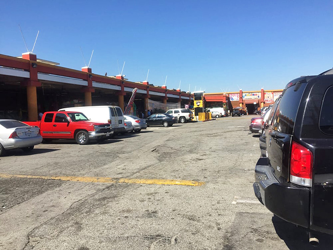 The parking lot—first battleground of the swap meet experience. Veterans know to arrive early; rookies learn quickly after circling for twenty minutes.